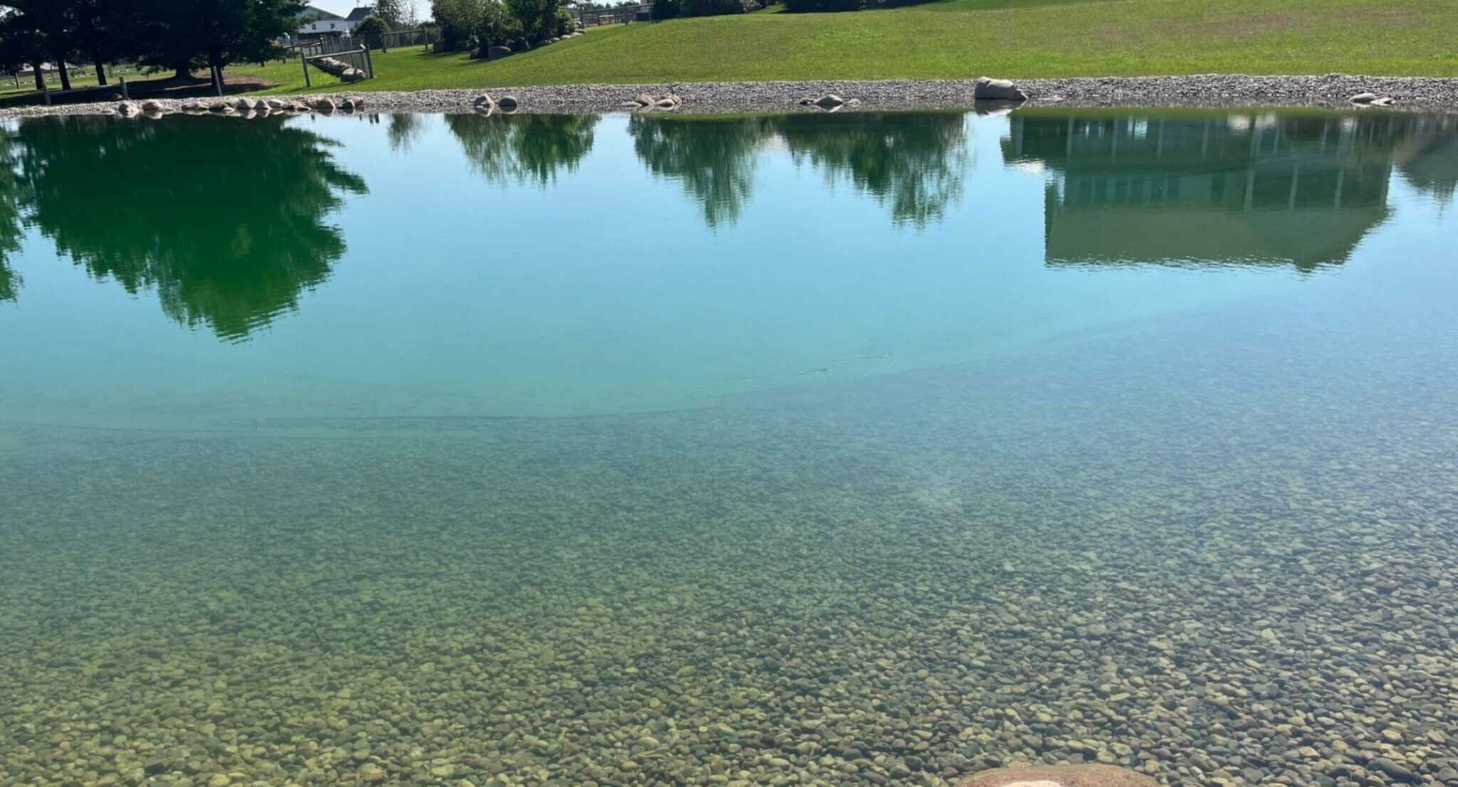 Fish Stocking - Wisconsin Lake & Pond